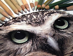 Learn to Draw Realistically: Wildlife | Grades 3-5 - One River School ...